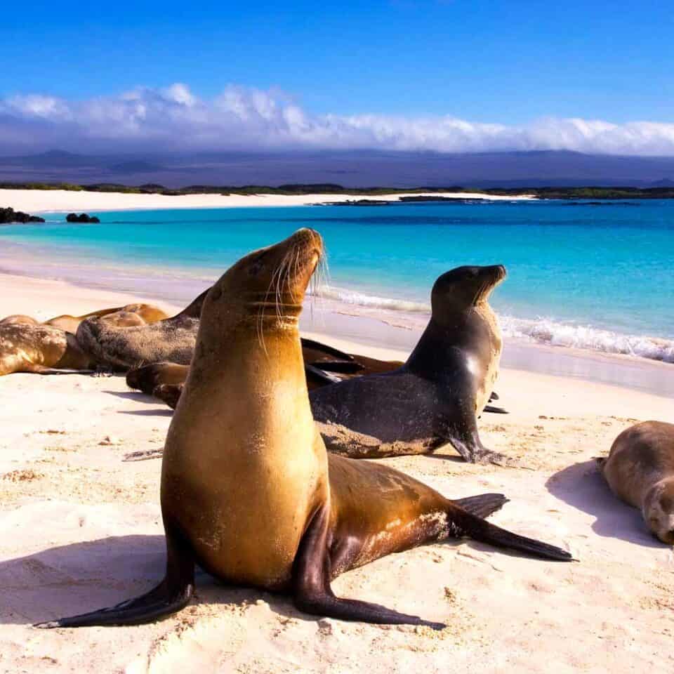 Galapagos Islands - Highland Adventures
